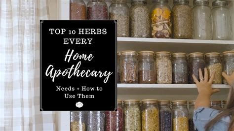Top 10 Herbs Every Home Apothecary Needs And How To Use Them