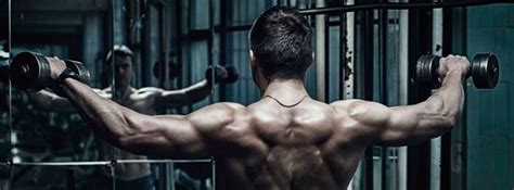 Тренировка плеч на массу в тренажерном зале программа тренировок