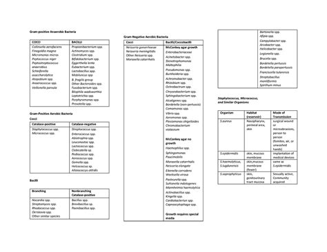 Staphylococci Streptococci And Neisseria Bailey And Scotts Gram Positive Anaerobic Bacteria