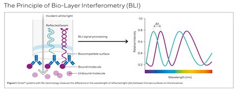 Critical Quality Attributes Cqa Protein