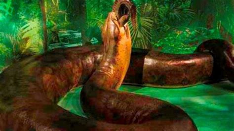 Ular Titanoboa Ular Terbesar Yang Pernah Ditemukan Di Dunia Berat 1