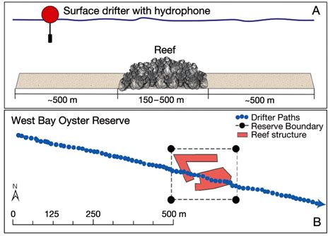 A Schematic Of Drifting Hydrophone Method And B Example Drifter Download Scientific Diagram