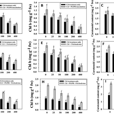 Single Inoculation Effect Of Pgpr Ac Trichoderma Spp Df And