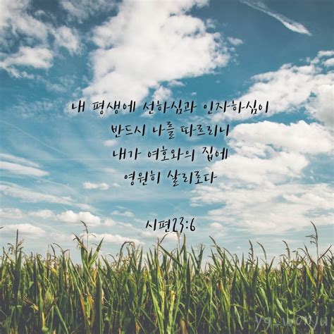 원주영강교회 청년회 “내 평생에 선하심과 인자하심이 반드시 나를 따르리니 내가 여호와의 집에 영원히 Facebook