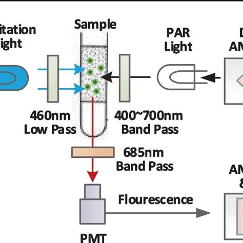Structure Diagram Of Chlorophyll Fluorescence Analyzer Induced By