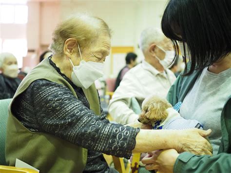 社会福祉法人 海士町社会福祉協議会