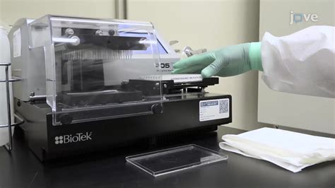 A Microneutralization Assay To Measure Neutralizing Antibody Titers In