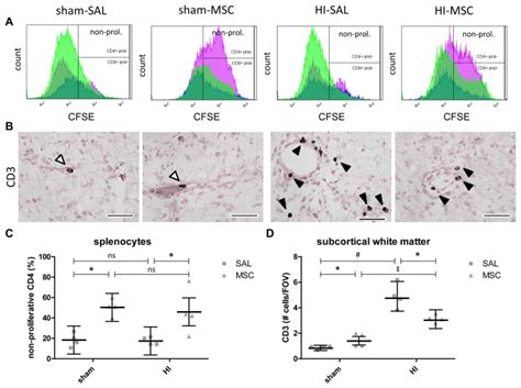 Msc Persistently Suppressed The Proliferative Capacity Of Cd4 Positive
