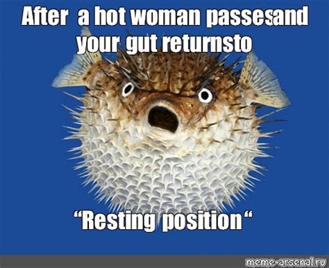 Meme After A Hot Woman Passes And Your Gut Returns To “resting