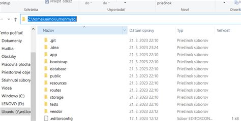 Server Project Not Working After Moving To Wsl Directory Ask Ubuntu