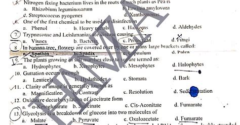 Education Is The Key To Success Botany I For Class Xi Science Group