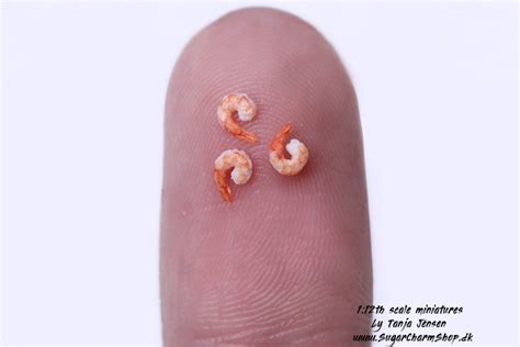 Shrimp Tutorial