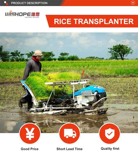 4 Rows Manual Rice Planter Hot Sales Cheap Paddy Planting Machine Rice