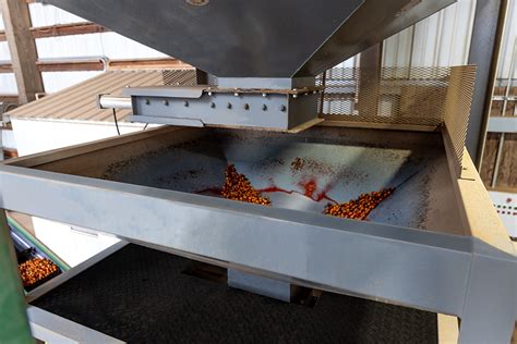 Roughdeck Hs Hopper Scale