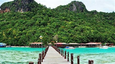 Qué ver en Borneo Descubre el tesoro salvaje de Asia
