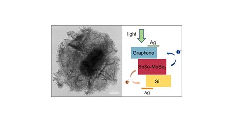 Solution Processed Snse Mose2 Hybrid Nanostructures For High