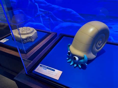 Take A Look At The New Pokémon Fossil Museum At Chicagos Field