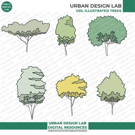 Architectural Tree Drawings Tree Plan Drawings Images Browse