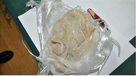 Телевизија 24 Во Хрватска уапсени четворица Хрвати еден Македонец и еден Србин поради шверц на