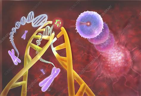 Oncogenes Stock Image M1310603 Science Photo Library