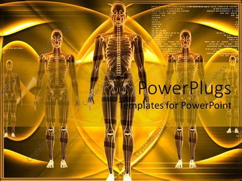 Powerpoint Template Human Body Structure 16723