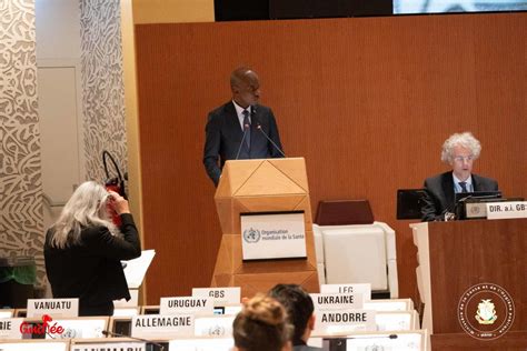 AssemblÉe Mondiale De La SantÉ À GenÈve Les Grandes Lignes Du