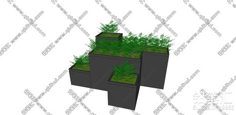 现代植物花坛 花箱 植物装饰 铅笔汇 高品质SU模型交流分享平台