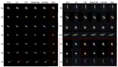 Visual Perception Comparison Of Colorization Performance By