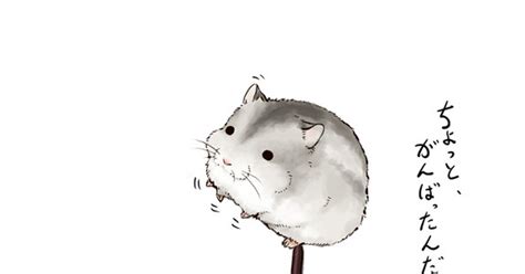 これ絶対入ってるよね がんばったんだお 夢職人のイラスト Pixiv
