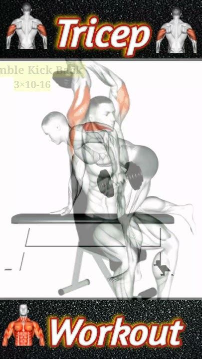 Day 5 Top 3 Advance Tricep Exercise 🔥 Shorts Viralvideo