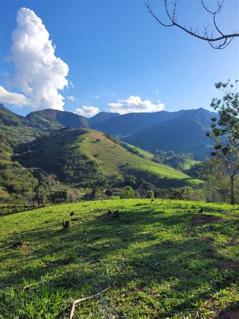 Fazenda Sítio 5000 m² em Centro em Piranguçu por R 170 000 Viva Real