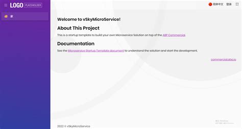 volo authorization 010001 2937 support abp io