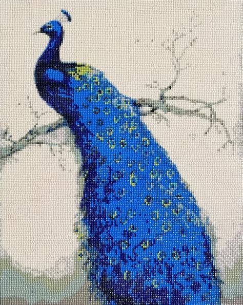 Peacock Diamond Painting Rdiamondpainting