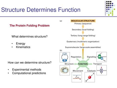 PPT Protein Structural Prediction PowerPoint Presentation ID 7149