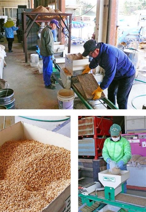 Vol38 【伊豆沼農産】うメェ～お米ができますように！ 【宮城の特産品】豚肉のギフトなら伊豆沼農産公式オンラインショップ｜伊豆沼ハム