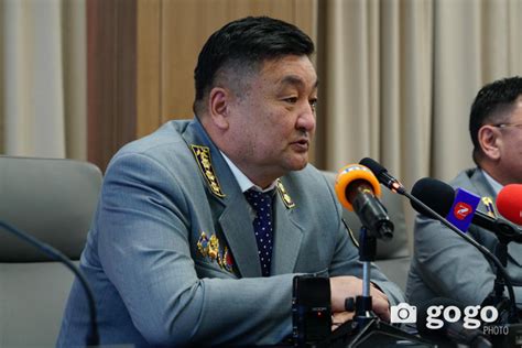 Улсын хилээр их хэмжээний адууны өлөн говийн чулуу нэвтрүүлэхийг завджээ