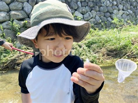 男の子 川遊びで魚を捕まえる No 5025223｜写真素材なら「写真ac」無料（フリー）ダウンロードok