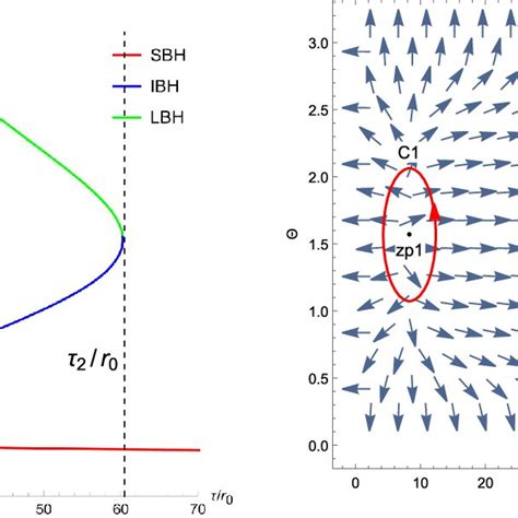 Topological Properties Of The Six Dimensional Uncharged Black Hole