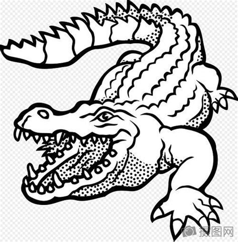 鳄鱼简笔画 鳄鱼简笔画图片大全 画趣文库（我爱生活）