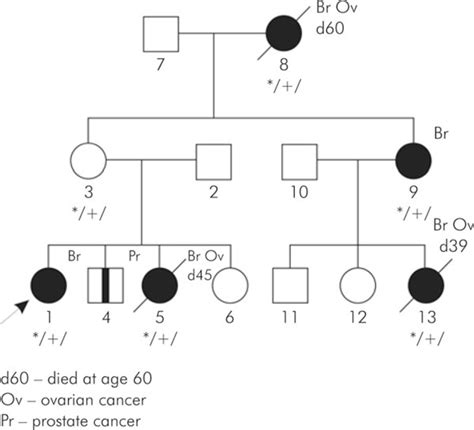 Phenocopy Breast Cancer Unrelated To Constitutional Mutation In Download Scientific Diagram
