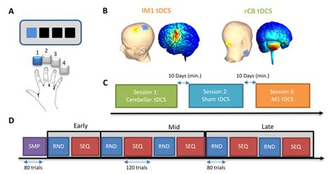 Experimental Design A Serial Reaction Time Task In Each Trial 4 Download Scientific Diagram