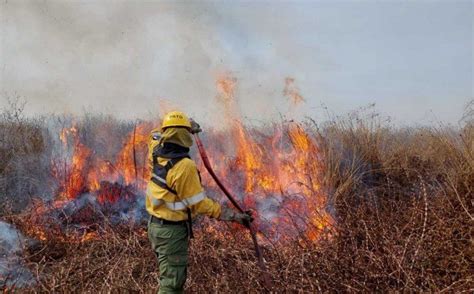 Incendios Forestales Salta Corrientes Entre Ríos Y Tierra Del Fuego
