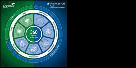 Credelio And Interceptor Plus 360 Protection