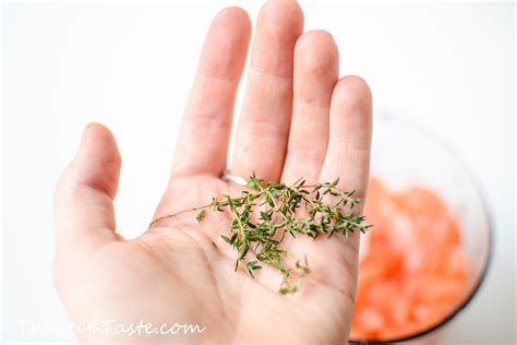 Salmon Paste Travel For Taste