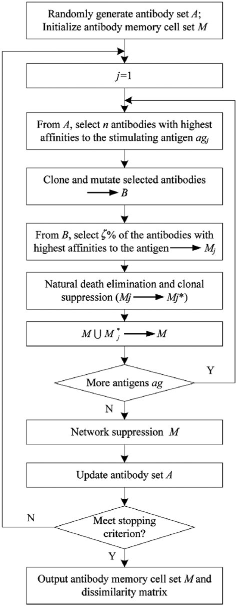 Flowchart Of The Immune Network Model Download Scientific Diagram