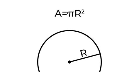 My Divine Size Comparison Guide Rectangular Vs Circular Vs Tourneau
