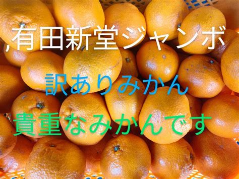 有田新堂ジャンボ〜みかん訳有り。一箱約5キロ。傷や汚れあり傷や汚れあり メルカリ