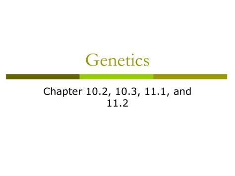 Genetics Powerpoint