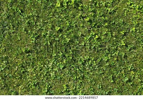 Green Grassy Lawn Ideal Textures Backgrounds Stock Photo 2214689857