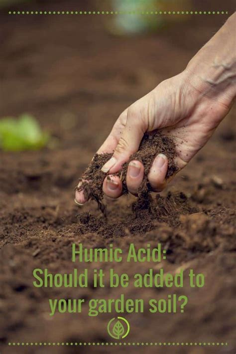 Adding Humic Acid To Soil For Plant Growth All Natural Ideas